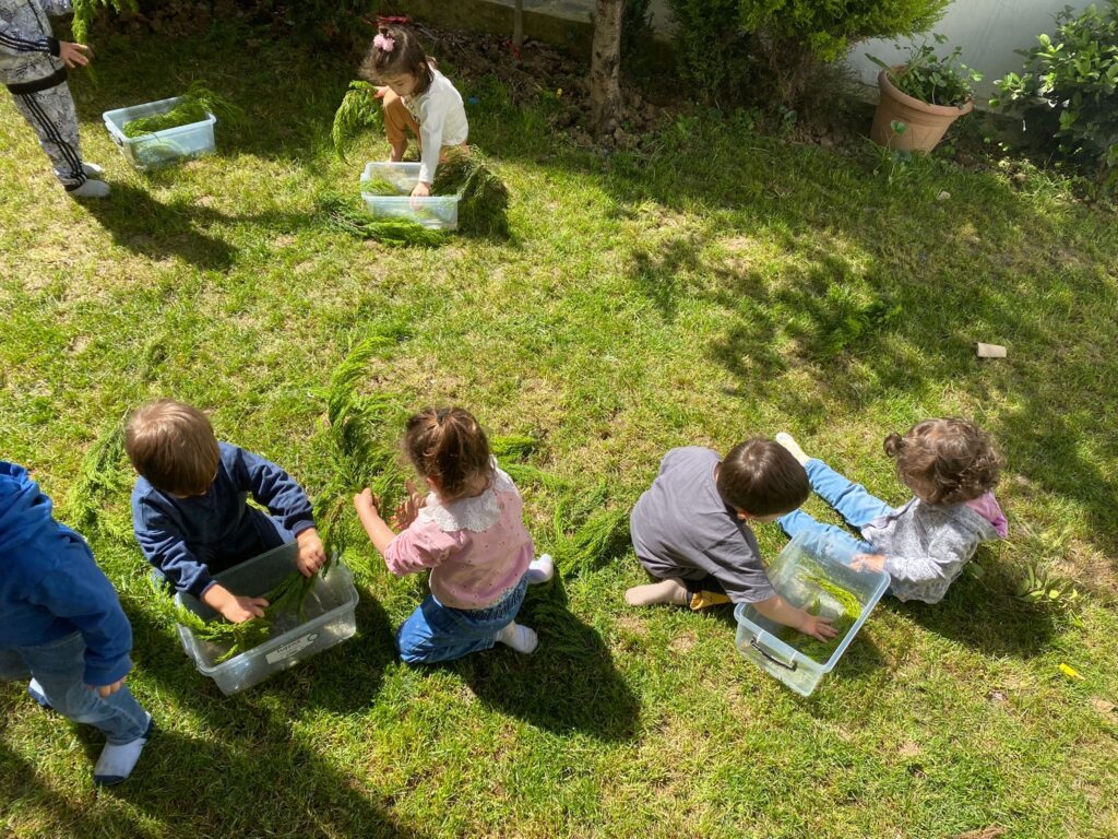 Programlarımız - The Children's Center